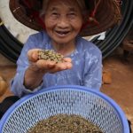 Mastervending - Full Service Vending Machines